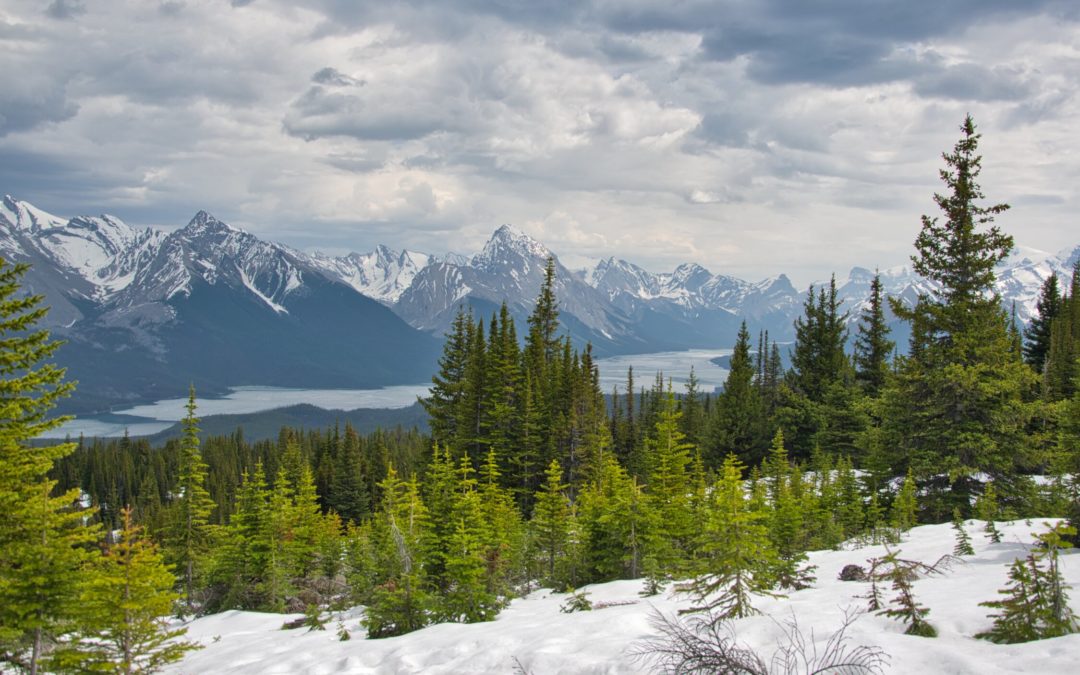 Jasper National Park - about momentum | Travel – Hike